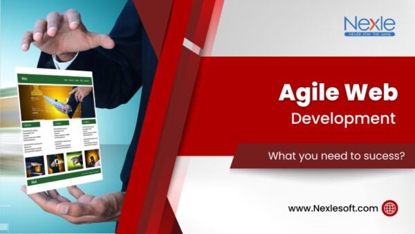 Web Application Development | Nexle Corporation